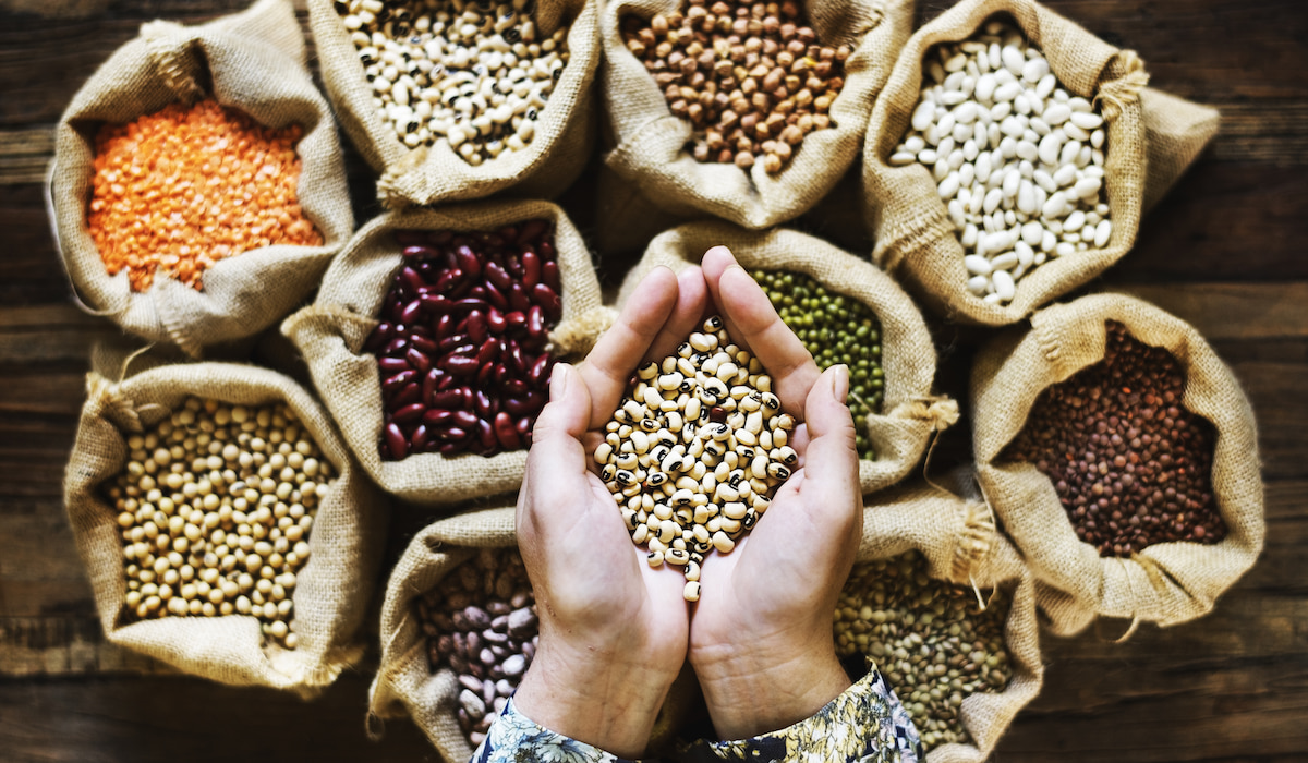 13 Best Groceries to Buy on a Cash Budget - Hassle Free Savings