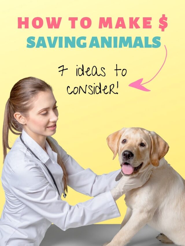 How to Make Money Saving Animals – 7 Ideas to Consider - Hassle Free ...