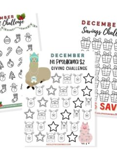 November Money Saving Challenges - Hassle Free Savings